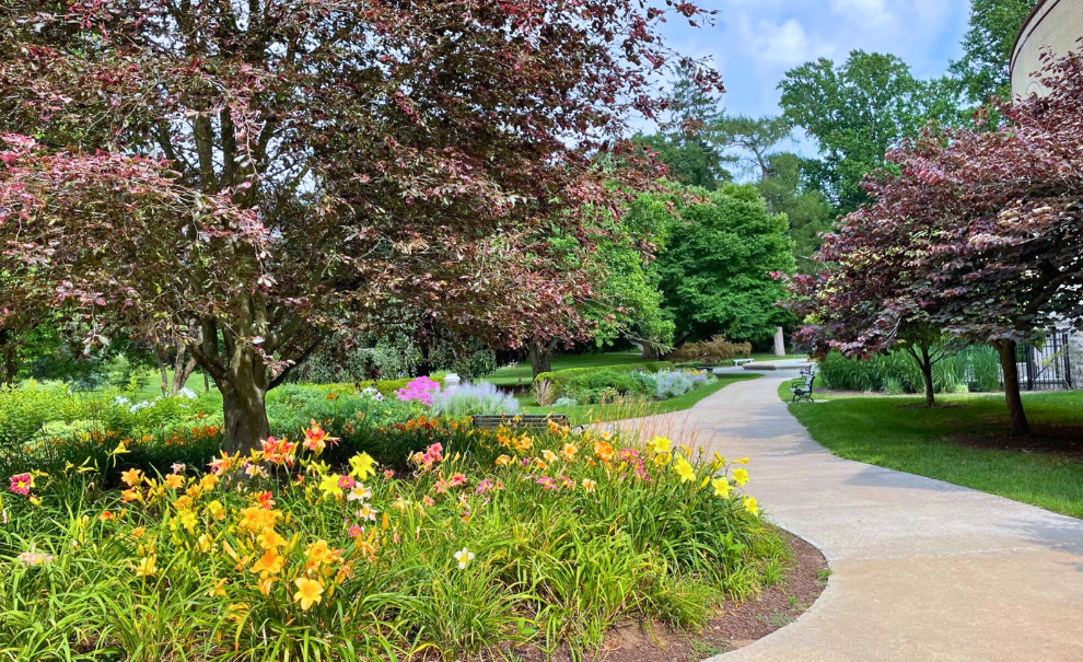 Summer in Wilcox Park | Westerly Library & Wilcox Park